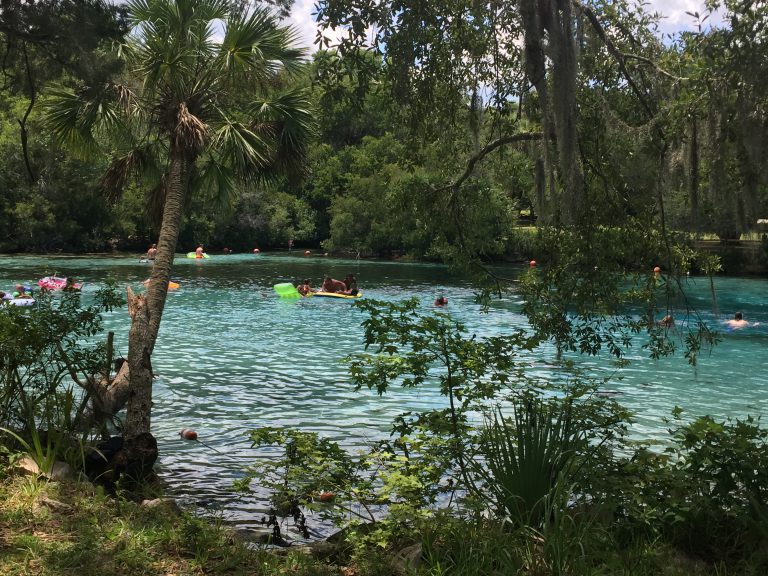 Alexander Springs State Park – Quirlequast
